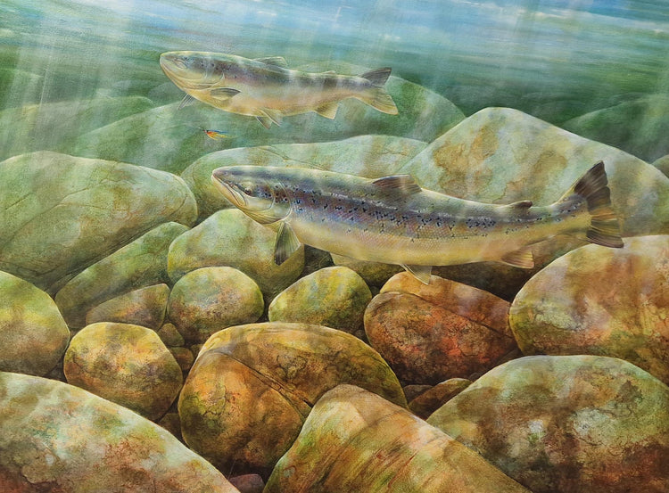 Chris Sharp – Spey Bank Studio